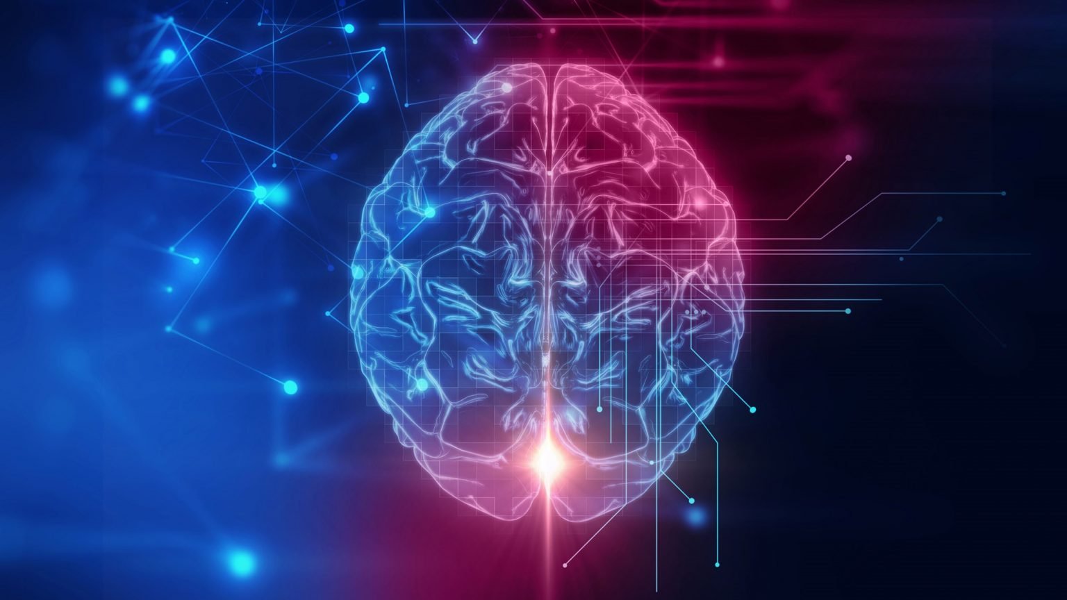 What Body System Is Disrupted During A Stroke
